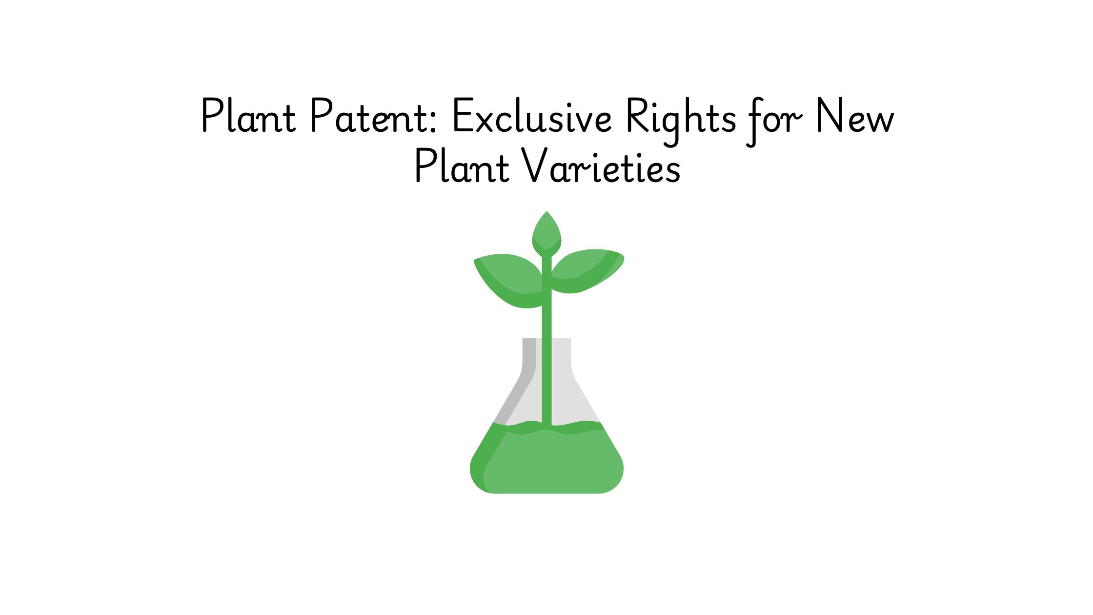 Plant Patent: Exclusive Rights for New Plant Varieties - Global Patent ...